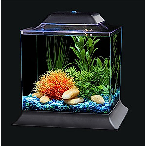 Koller Products 1.5-Gallon AquaScene Aquarium with LED Lighting