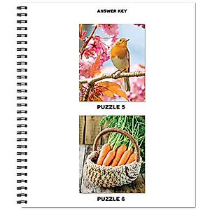 Brain Games - Sticker by Number: In the Garden (Easy - Square Stickers): Create Beautiful Art With Easy to Use Sticker Fun!