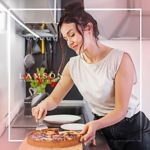 Lamson's famous Pie & Cake Server, with a new PINK sleek Vintage-Style Ultra Durable handle.