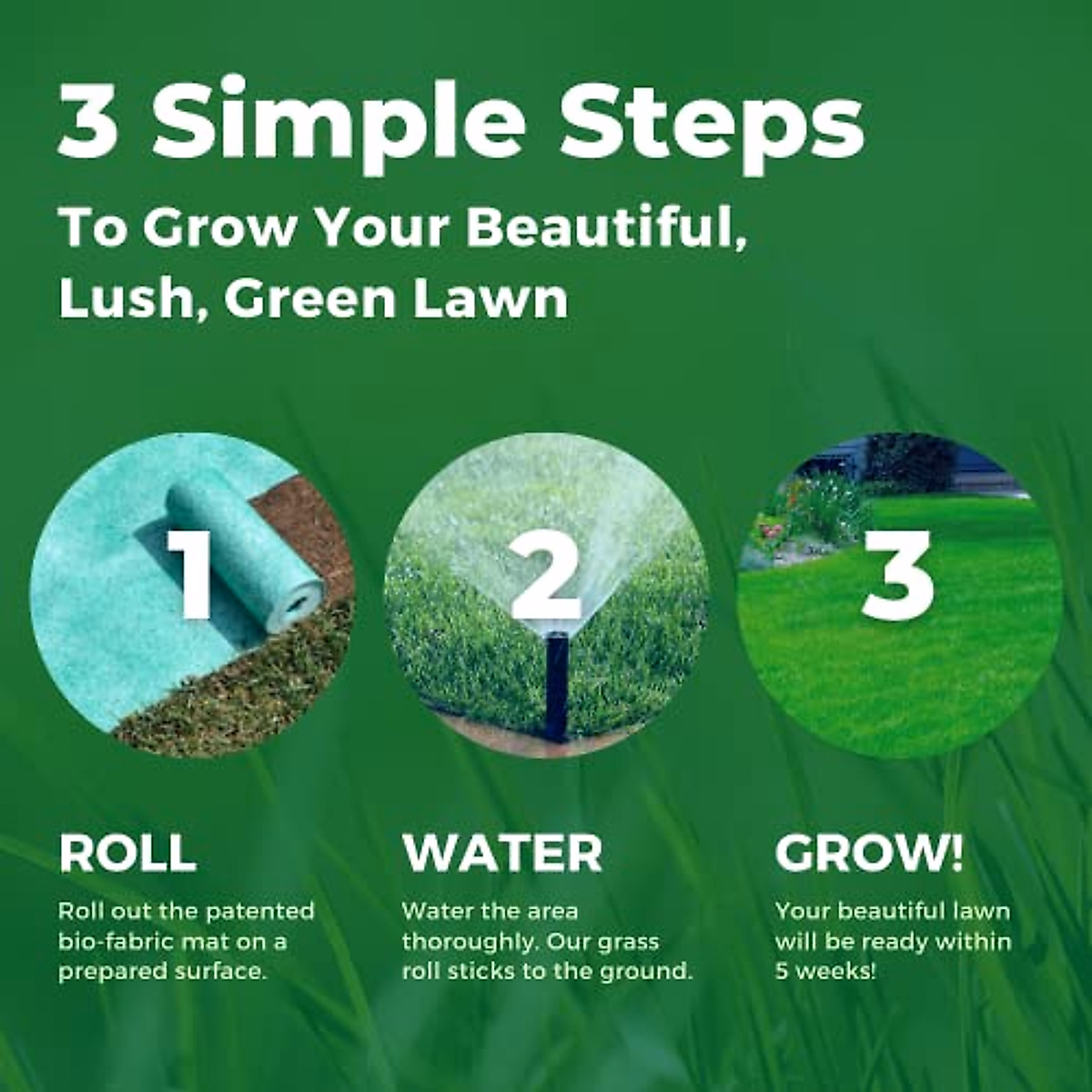 Grotrax Biodegradable Grass Seed Mat - 100 sqft Year Round Green - Grass Seed and Fertilizer for Lawns, Dog Patches & Shade - Just Roll, Water & Grow - No Fake or Artificial Grass