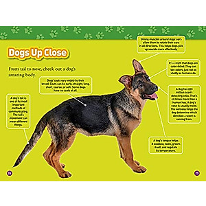 Woof! (National Geographic Kids Readers, Level 3): 100 FUN Facts About Dogs