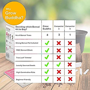 Grow Your Own Bonsai kit | Tree Plants & Seeds | Crafts Hobby Kits | Easily Grow 4 Types of Bonsai Trees with Our Complete Beginner Friendly Kit | Christmas Gift Ideas for Plant Lovers