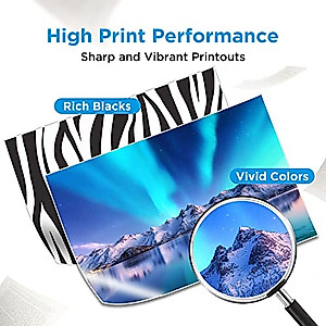 Yocare 962xl 962 XL Combo Pack Ink Cartridges Replacement for 962XL Compatible with Officejet 9010 9015 9025 9012 9013 9016 9019 9018 9020 Printer (Black & Cyan & Magenta & Yellow)-4 Packs