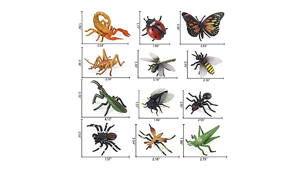 Realistic Insect Toys Set – 12 Vibrant Plastic Bugs for Education & Parties