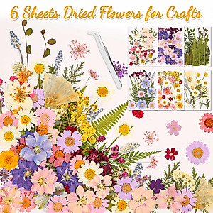 6 Sheets Dried Pressed Flowers for Crafts, Real Dried Florals and Leaves for Scrapbooking Resin Jewelry Molds Candle Soap Making Nail Art Makeup