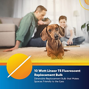 Technical Precision Replacement for JASCO F10T5/830/L Light Bulb