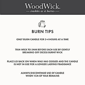 WoodWick Ellipse Scented Candle, Melon Blossom, 16oz | Up to 50 Hours Burn Time