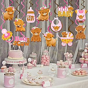 Highland Cow Baby Shower Hanging Swirls Holy Cow Baby Shower Decorations 20Pcs Highland Cattle Birthday Party Ceiling Hanging Decor Cow Party Streamers for Farm Animals Party Supplies