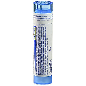 Boiron Ledum Palustre 6c, Blue, 80 Count