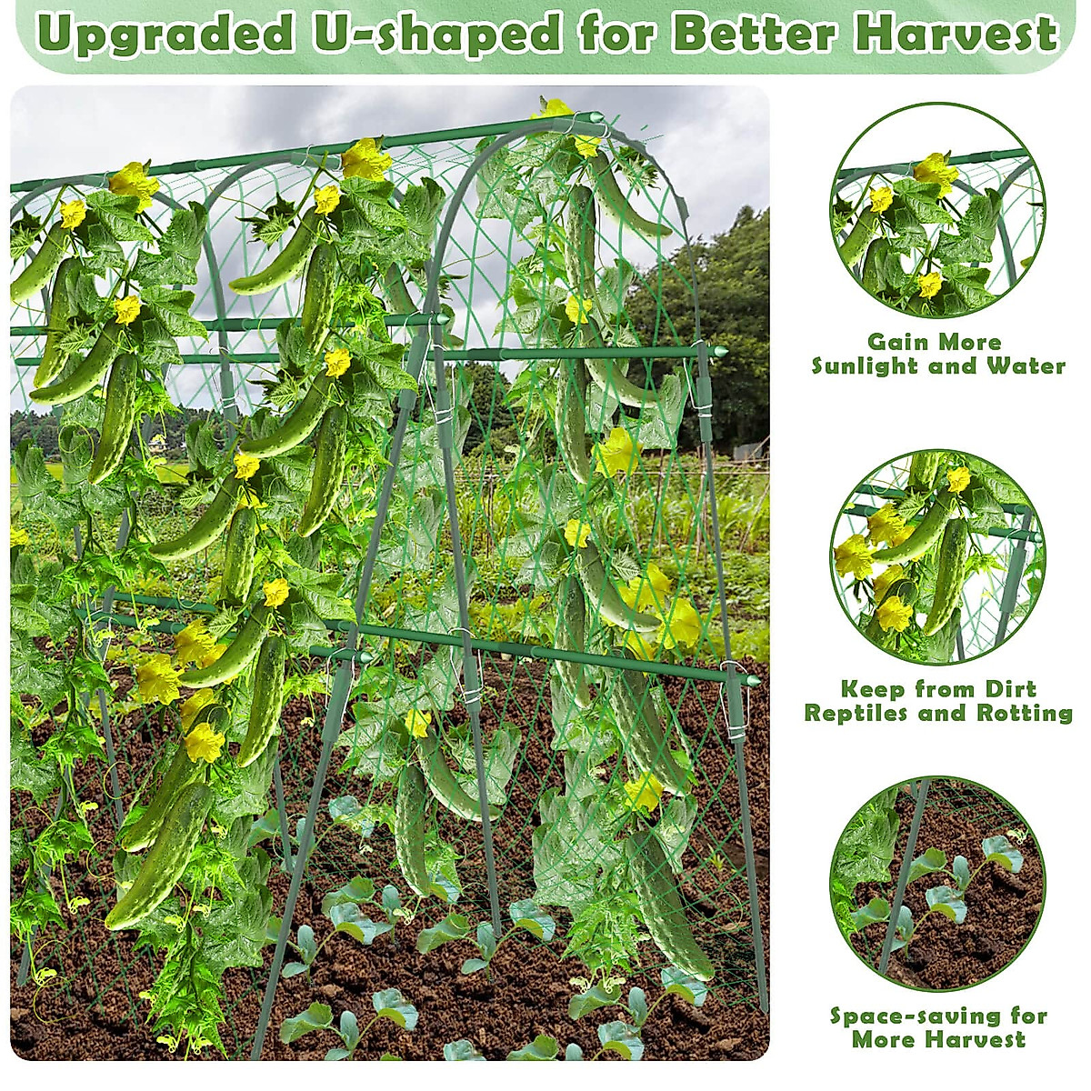 Tetutor Cucumber Trellis for Raised Beds, 63 x 45 Inch U-Shaped Garden Trellis for Climbing Plants Outdoors with Climbing Net, Metal Detachable Arch Plant Support Vegetable Trellis