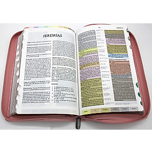 Biblia de Estudio Arco Iris Reina Valera 1960 con cierre, Indice, Color Rosado con cobre y Estuche de lujo negro con cobre para guardar y proteger la Biblia Coleccion Celestial
