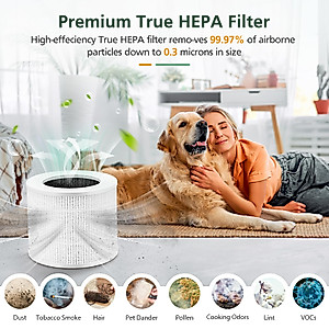 3 Pack Core Mini Replacement Filter Compatible With LEVOIT Core Mini Air Purifier, Core Mini-P 3-IN-1 H13 True Hepa Air Filter, Core Mini-RF Filter With 10 Pack Aroma Pads, White