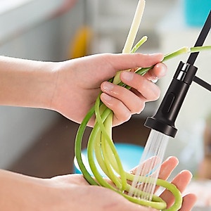 Strictly Sinks Kitchen Faucet with Pull Down Sprayer-Contemporary Design Single Handle High Arc Spring Faucet–Dual Function Spray Head with 360 Swivel Spout-Towel Bar Sink Faucet (Black)