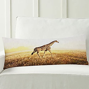 AIRMARK Body Pillow Cover,African Giraffe Nature Printed Long Pillow Cases Protector with Zipper Decor Soft Large Covers Cushion for Beding,Couch,Sofa,Home Gift 20"x54"