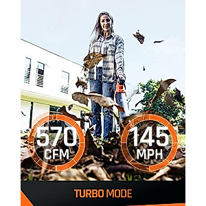 FIILPOW 40V 570CFM Leaf Blower, Brushless Leaf Blower Cordless with 2×4.0Ah Battery and Fast Charger, Turbo Mode and 3 Variable Speed Lock, Axial Fan, Blower for Lawn Care, Yard, Driveway, Walkway