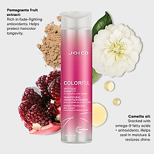 Joico Colorful Anti-Fade Shampoo | For Color-Treated Hair | Preserve Hair Color & Vibrancy | Boost Shine & Reduce Breakage | Sulfate Free | With Camellia Oil & Pomegranate Extract | 10.1 Fl Oz