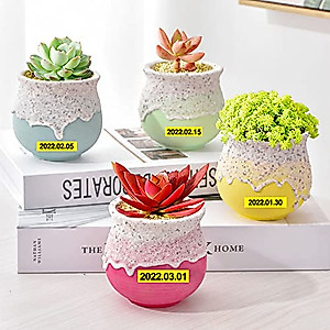 Absonic Tze 24mm Yellow TZ-651 Label Tape Compatable for Brother Tze-651 Laminated Black on Yellow Tape for Ptouch PT-D610BT PT-D600 PT-D600VP PT-P750W PT-P710BT 2730VP 2430PC, 0.94in x 26.2ft, 3-Pack