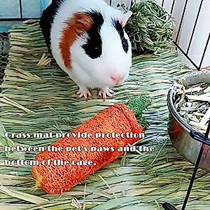 kathson Bunny Grass House Chew Toys Baby Rabbit Hideaway Hut Small Animals Grass Hideout Hand Woven Natural Grass Bedding for Guinea Pig Hamster Chinchilla