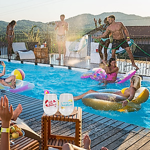 BFL Tropical Party Stemless Wine Glasses, 20oz Plastic Cups Reusable Shatterproof Drinkware Home Picnic Camping Summer Beach Pool Luau Hawaiian Themed Party Indoor Outdoor Pack of 4 (Design May Vary)