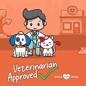 Turmeric for Dogs - Anti Inflammatory for Dogs - 300 Chewable Tablets - Curcumin and BioPerine, Antioxidant, Promotes Pet Mobility, Cardiovascular Health and Liver Health