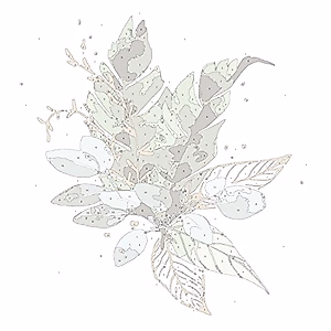 SANWEITU Paint by Number for Adults with Wooden Frame 12×12 inch Paint by Number 3 Packs Green Plants Home Decoration for Beginners with Paints and Brushes