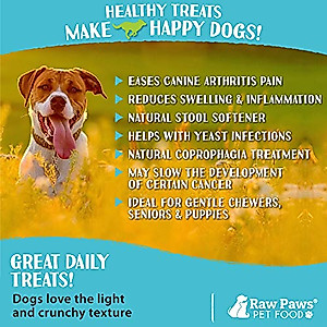 Raw Paws Green Lamb Tripe Sticks for Dogs, 25-Pack - Single Ingredient, Crunchy Green Tripe Lamb Dog Treats - Grass-Fed, Free Range Dehydrated Lamb Tripe for Dogs All Natural Dog Chews