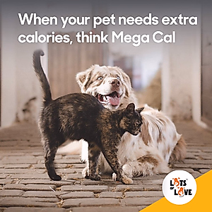 Mega Cal - High Calorie Dog Weight Gainer Supplement, Supports Healthy Weight Gain & Weight Management in Dog Food (Thomas Labs Earlier) 16 fl oz