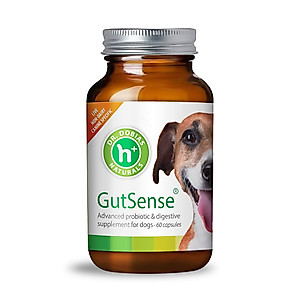 Dr. Dobias - GutSense, Advanced Prebiotic & Probiotics for Dogs, Canine-Specific Dog Probiotics, Dog Supplement for Healthy Digestion, Good Bowel Movement & Immune System, Pet Supplies, 60 Capsules