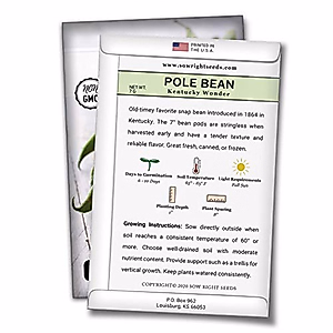 Sow Right Seeds - Pole Bean Seed Collection for Planting - Individual Packets Kentucky Wonder and Rattlesnake Pole Bean, Non-GMO Heirloom Seeds to Plant an Outdoor Home Vegetable Garden