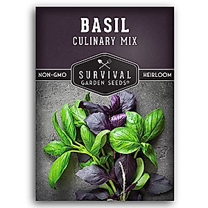 Survival Garden Seeds - Culinary Basil Mix - Packet with Instructions to Plant and Grow Genovese, Lemon, Lime, Opal & Thai Basil Herbs Your Home Vegetable Garden - Non-GMO Heirloom Varieties