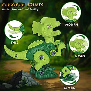 Teiiluve (5 Pack) Dinosaur Toys for Kids 3, 4, 5, 6, 7 8 - Kids Toys with Electric Drill - Stem Learning Construction Building Toys - Party Birthday Gifts for Kids Boys Girls