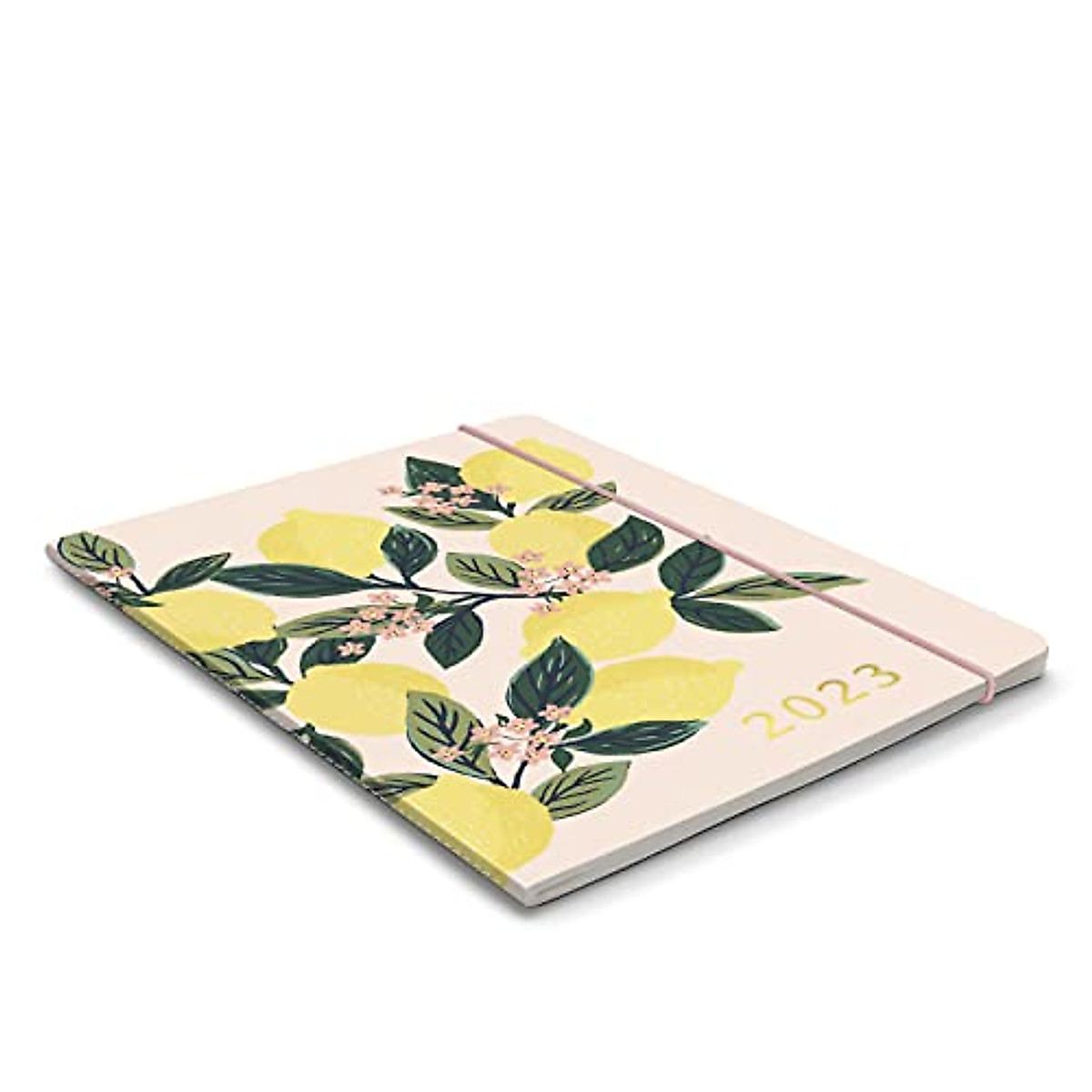 Orange Circle Studio Just Right 2022-2023 Monthly Planner - 17-Month Organizer with Full-Color Monthly Views, Storage Pocket & Elastic Closure - Lemon Tree