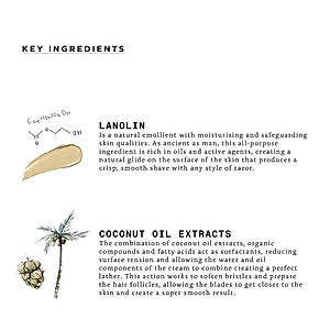 Triumph & Disaster | Old Fashioned Shave Cream Tube | Shaving Lotion for Sensitive Skin - Alcohol Free, 3.04 fl oz (90+ shaves)