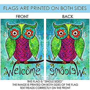 Toland Home Garden 109432 Rainbow Owl Welcome Flag 28x40 Inch Double Sided Welcome Garden Flag for Outdoor House Bird Flag Yard Decoration