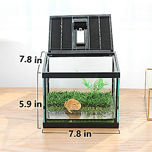 crapelles Pac Frogs Glass Terrarium Feeding kit Tank, Waterproof,for Small Amphibians, Insect, Horned Frogs. Waterweed / Prairie Style Habitat,with Green Artificial Turf Pad, (excluding Animals)