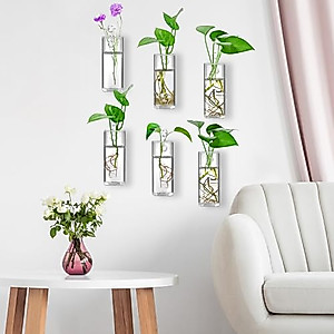 Fasmov 6 Pack Wall Hanging Glass Planters Plant Terrarium, Plants Holders Air Plants Succulents Planters Flowers Glass Wall Vase Containers for Plant, Decoration and Display, Square Vase, Clear