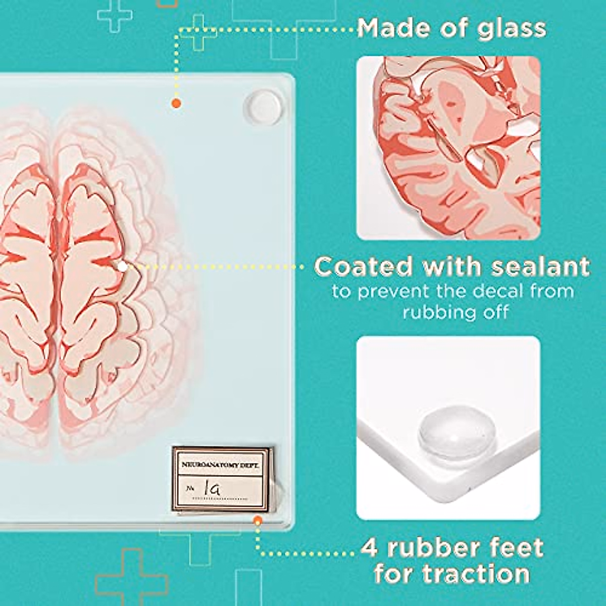 Anatomic Brain Specimen Coasters (Set of 10) - Neuroscience Gifts Best Gifts for Medical Student Gifts Brain Decor Human Anatomy Gifts Weird Gifts Thinkgeek Coasters think geek gifts 3D Brain Coasters