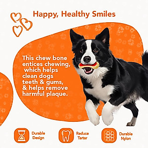 ReThink Pet Dental Bone Dog Chew Toy, Small Bacon-Scented Dog Chew Bones, Odor-Stimulating Nylon Dog Bones and Chew Toy, Durable and Tough Dog Toys for Boredom
