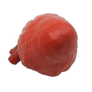 Loftus International Life Size Foam Heart Gory Halloween Prop