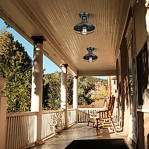 2 Pack Farmhouse Flush Mount Ceiling Light - Easric Industrial Ceiling Light Fixture Rustic Black Metal Cage Close to Ceiling Lamp E26 Base for Hallway Foyer Kitchen Porch