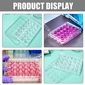 JECOMPRIS 2pcs 24 Well Cell Culture Plate Cultivation Plates Laboratory Reaction Tray for Laboratory