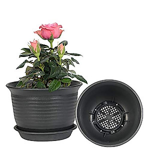 ZOUTOG 𝟏𝟓 𝑷𝒂𝒄𝒌 𝑷𝒍𝒂𝒏𝒕 𝑷𝒐𝒕𝒔, 6 inches Plastic Planters with Drainage Hole and Tray, Plants Not Included