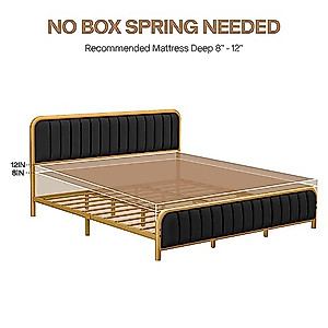 DOGIBIXO Gold Bed Frame King Size with LED Lights, Black Upholstered Bed Frame with Tufted Headboard and Footboard, Metal Slats Support, Noise-Free, No Box Spring Needed