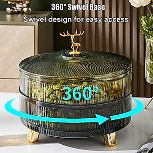 RUNLAIKEJI Divided Serving Tray with Lid, 5 Compartment Fruit and Snack Serving Tray, Transparent, Plastic, Rectangular, 11 x 8 x 2.5 in