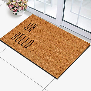 MOMOBO Funny Doormat Custom Indoor Doormat -Oh Hello Funny Front Mats Home and Office Decorative Entry Rug Garden/Kitchen/Bedroom Mat Non-Slip Rubber 23.6 x15.7 Inch