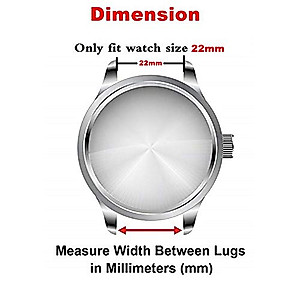 Dioway for Fossil CH2891 Leather Watch Bands 22mm Replacement with Stainless Steel Buckle - Brown 22mm Fossil CH2891 Leather Watch Strap