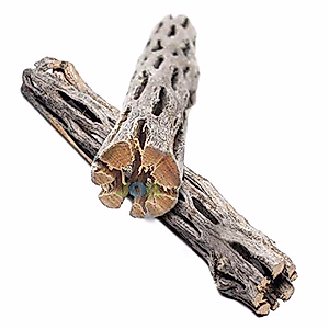 Jor Pleco Wood, 6x1 Inch Long, Aquarium Decor and Chew Toys for Tropical Fish, Small Pets Play and Hide, 2-Pieces per Pack