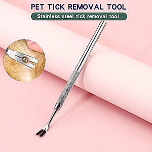 Generic Tick Removal Tool,Tick Remover for Dogs,Pet First aid kit Ttwister Tweezers,Tick Key,Dog Hiking Camping Gear,Cat flea and tick Treatment (1 Set), Metal ash