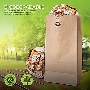 Stock Your Home 12 Lb Kraft Big Brown Paper Lunch Bags (100 Count) - Bulk Disposable Lunch Sacks, Large Size Blank Bag, Good for Snacks, Sandwiches, Grocery Food, and Arts & Crafts Projects