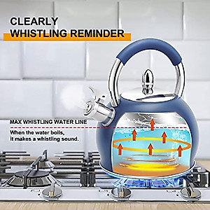 HRHongRui Whistling Tea Kettle for Stove Top Stainless Steel Tea Pot with Ergonomic Silicone Handle Teapot for Stovetop 3.2 Quart / 3 Liter Blue